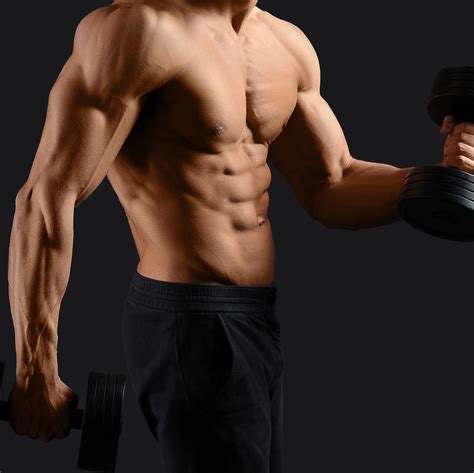Fisiología de la pérdida de grasa y entrenamiento de fuerza e
