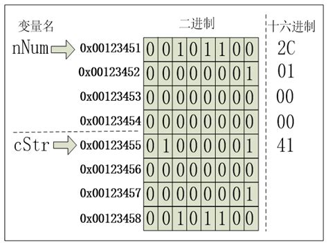 【c语言】 基础知识入门 c语言基础知识入门 csdn博客