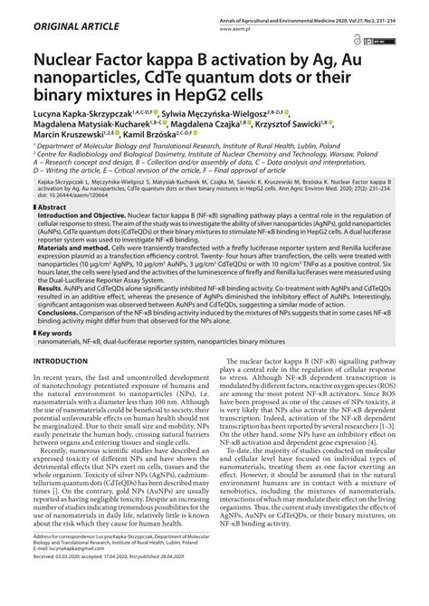 Pdf Nuclear Factor Kappa B Activation By Ag Au Nanoparticles Cdte