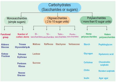 Carbohydrates Biomolecules