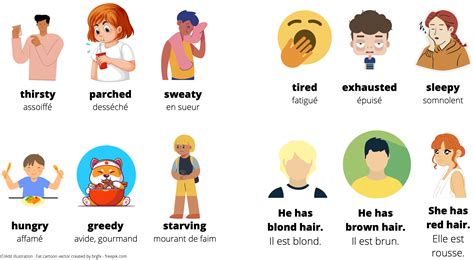 Vocabulaire Cartes D Adjectifs Courants En Anglais Apprendre