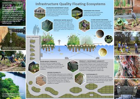 Floating Wetlands Project Friends Of Green Lake
