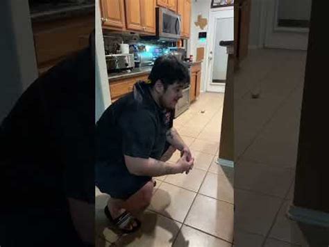 Scrappy The Frenchie Vs Chicken Leg Youtube
