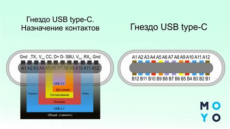 USB C Pinout All USB Type Pin Diagram SM Tech