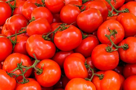 Cultivar tomates con éxito en el huerto La Huerta de Europa