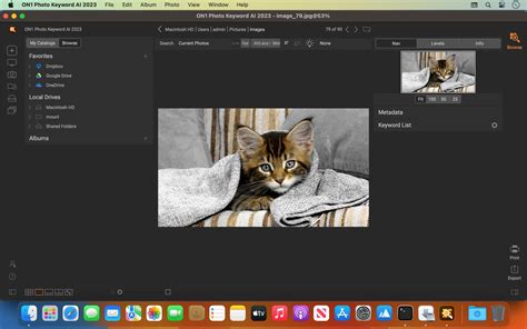 On Photo Keyword Ai C Ng C T Ch C Qu N L Nh Video S D Ng