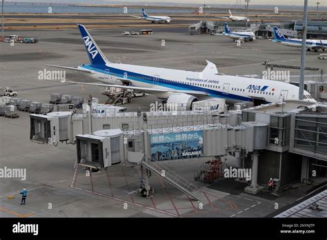 De Marzo De Tokio Jap N Un Avi N Ana Boeing Dreamliner