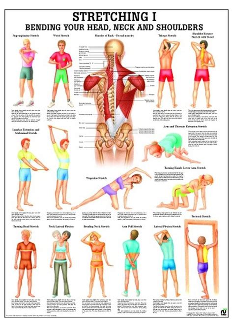 Neck And Shoulders Stretching Poster Workout Posters Pilates For