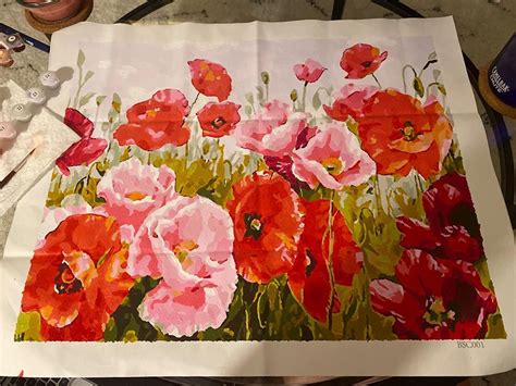 Mohnblumen Malen Nach Zahlen Kit Wandkunst Blumen Malen Nach Etsy