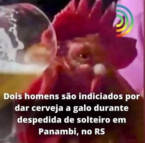 2 Dois homens são indiciados por dar cerveja a galo durante despedida