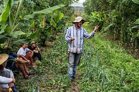 Bioeconomia favorece desenvolvimento sustentável na Amazônia Revista