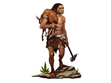 Divisão da Pré História Homem pré histórico Arte e trabalho na Pré