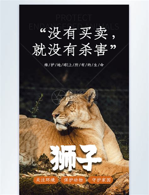 没有买卖 就没有杀害摄影图海报模板素材 正版图片401862098 摄图网