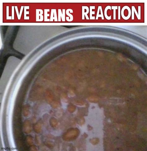 Image Tagged In Live Beans Reaction Imgflip