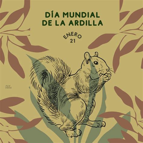 Pro Bosque Chapultepec on Twitter Hoy es DíaMundialdelaArdilla