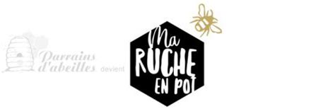 R Le Des Abeilles Dans La Nature Ma Ruche En Pot