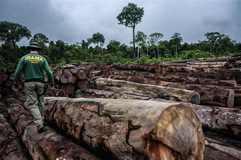 Inpe desmatamento aumenta no Cerrado e cai na Amazônia