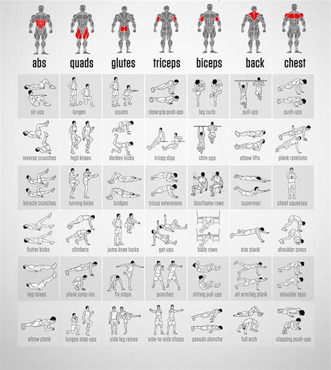 Beginner Bodyweight Workout Pdf Full Body Workout Workout Chart