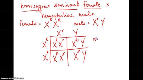 sex linked traits and multiple alleles youtube
