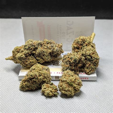 Buy Purple Papaya Runtz Strain Indica Hybrid Bud Fraser Bud