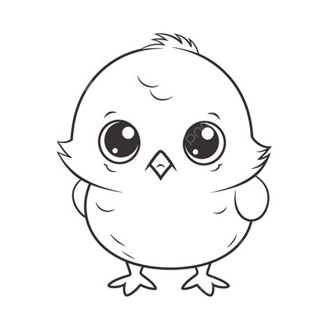Desenho De Páginas Para Colorir Pintinho Fofo Esboço Crianças Vetor PNG