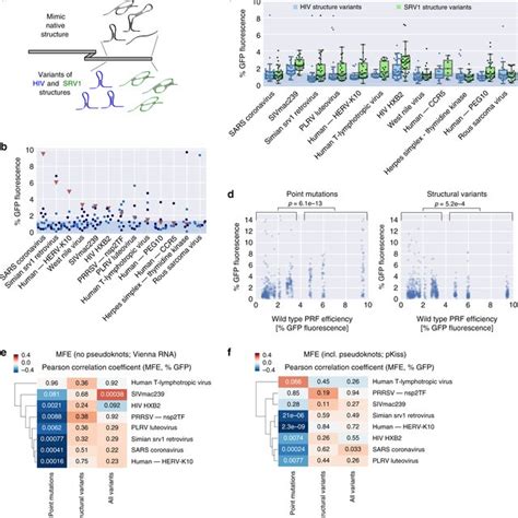 A Massively Parallel Reporter Assay For Programmed Ribosomal