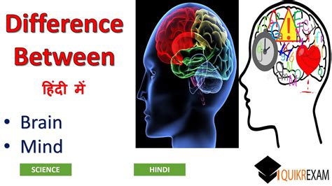 Difference Between Brain And Mind Hindi Youtube