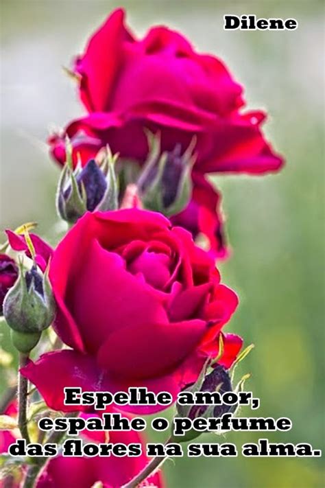 Na Vida Tudo Tem Um Sentido Exemplo De Mulher