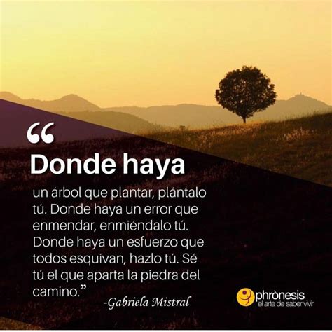 8 564 Me Gusta 28 Comentarios Walter Riso Walter Riso En