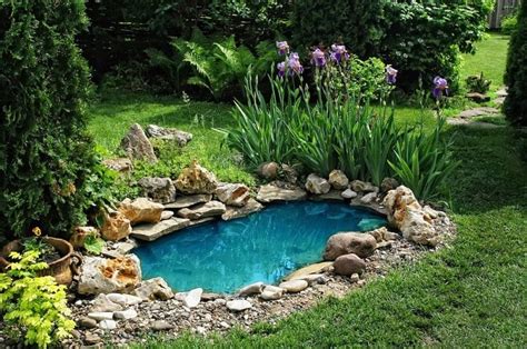 Comment réaliser un bassin de jardin Zoom sur les différentes