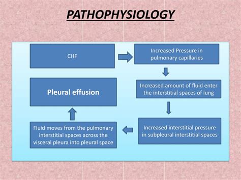 Pleural Effusion Pathophysiology