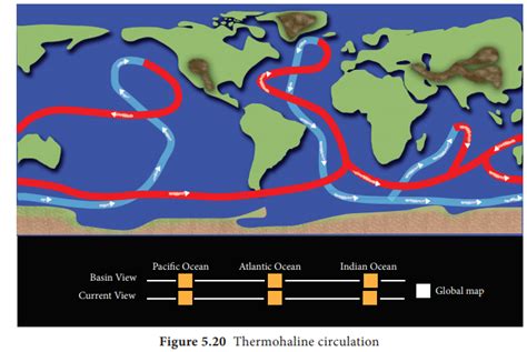 Thermohaline Circulation Diagram