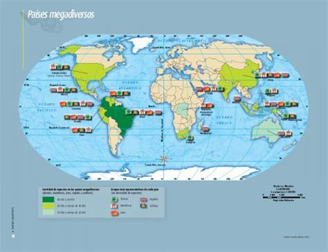 Abajo Copiar Grava Planisferio De Los Paises Megadiversos Hostil