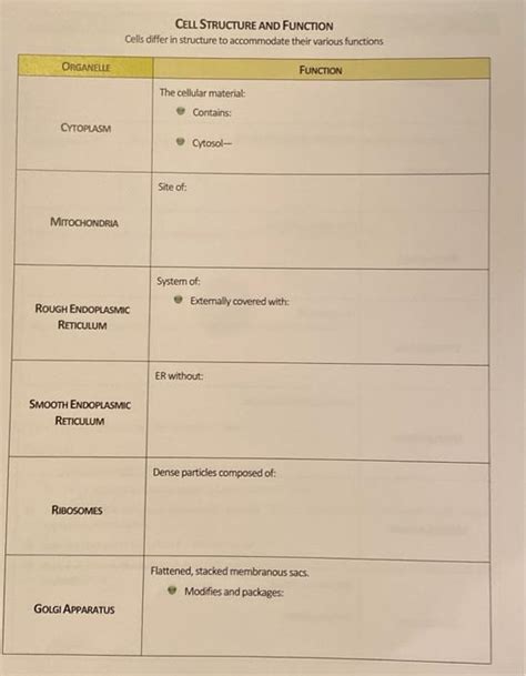 solved questions 1 describe 2 functions of structure 1 in