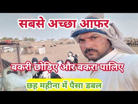 बकर छडए और सर कजए बकर पलन छ महन म पस डबल व भ ऐस