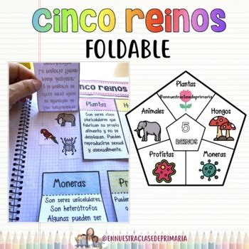 FOLDABLE LOS CINCO REINOS By En Nuestra Clase De Primaria TPT