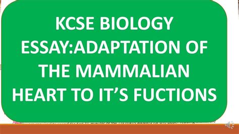 Kcse Essay Explain How A Mammalian Heart Is Adapted To Its Functions