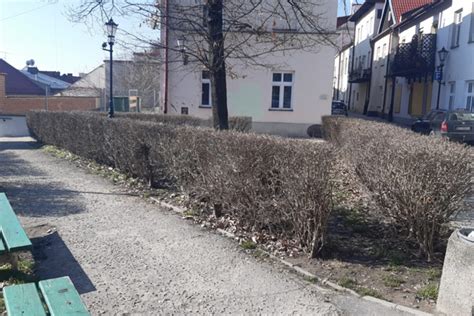 Kolejny Etap Remontu Zabytkowej Ulicy Zako Czony
