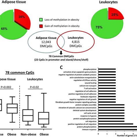 Comparison Of The Differential Methylation Profiles Associated With