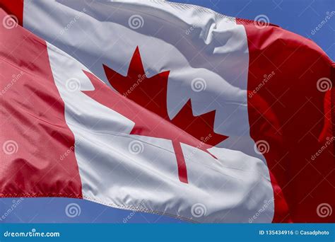 Canadian Flag Waving On The Wind Stock Photo Image Of Background