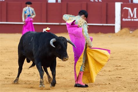 25 Tradiciones Españolas Fiestas y Costumbres Culturales