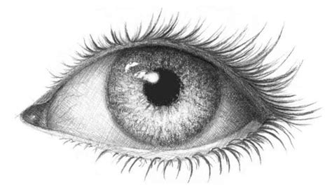 Weinendes Auge Zeichnen Leicht 60 Unikale Zeichnungen Mit Bleistift