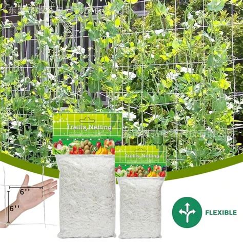 Filet carré blanc en polyester pour le jardinage treillis pour plantes