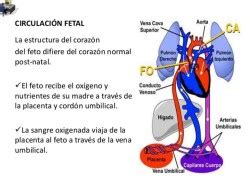 PCA Especialidad de Cardiología de Villa Clara