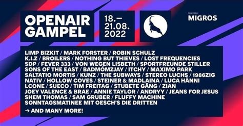 Open Air Gampel 4 Tagespass Kaufen Auf Ricardo