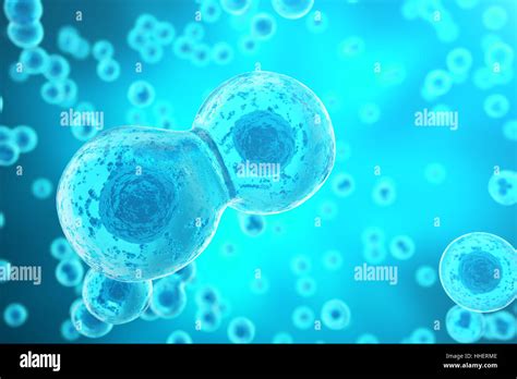 Blue Biology Background Atelier Yuwa Ciao Jp
