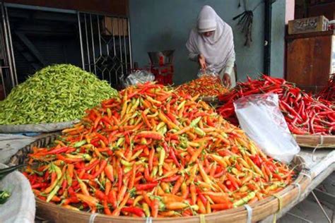Harga Cabai Rawit Di Kota Serang Tembus Hingga Rp 110 Ribu Per Kg