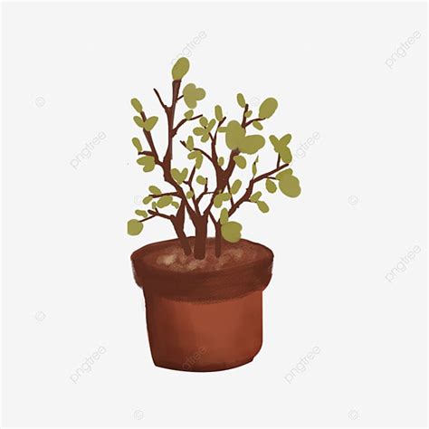 Plant Pots Hd Transparent Potted Plants Green Plants Flower Pot PNG