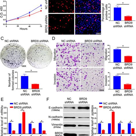 BRD9 Knockdown Inhibits The Proliferation Migration Invasion And EMT