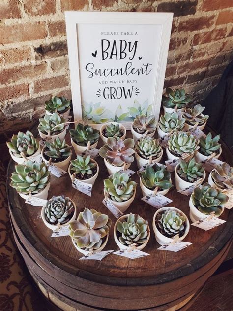 Baby Succulents Boda Para Embarazadas Regalos De Baby Shower Para